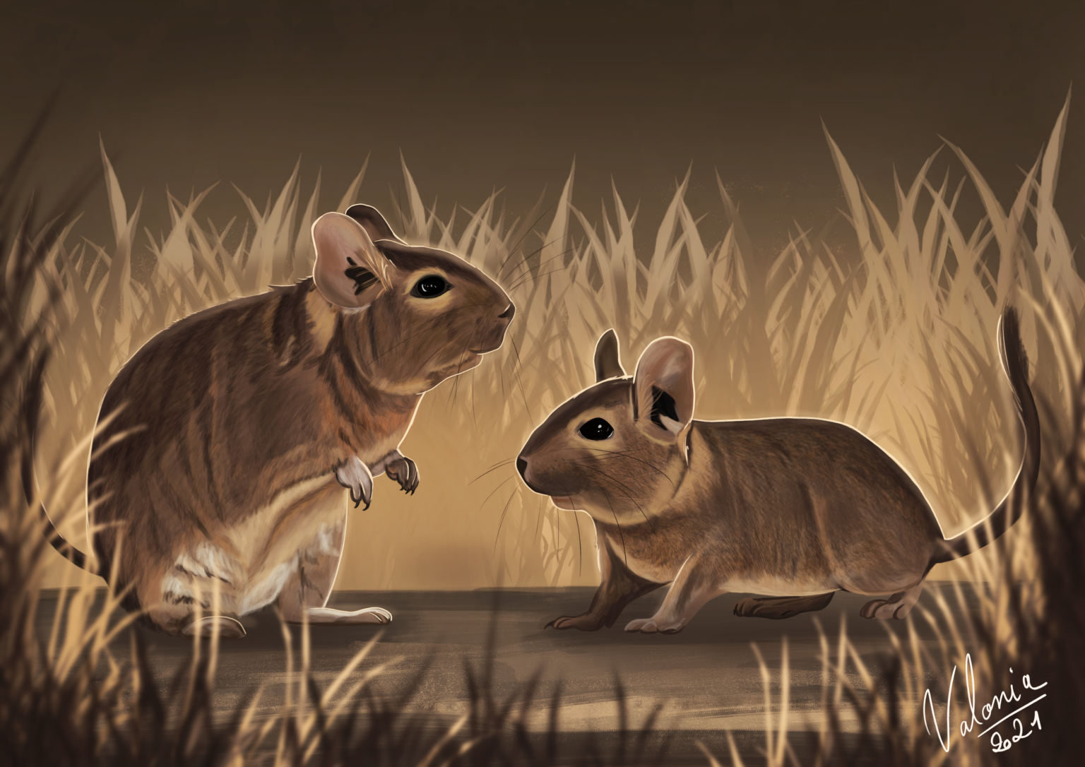 Octodontidae : famille, caractéristiques et espèces du genre "octodon ...